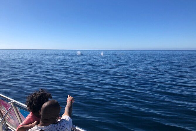 Whale Tour, Sail to Cabo San Lucas Arc + Food - The Sum Up