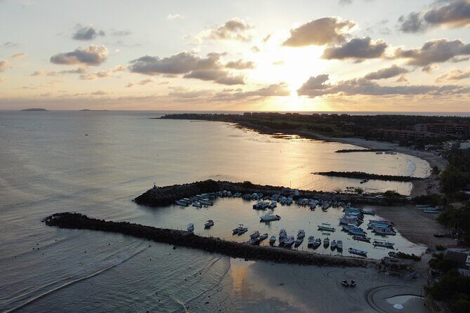 Whale watching - Introduction: An Authentic Marine Encounter in Puerto Vallarta