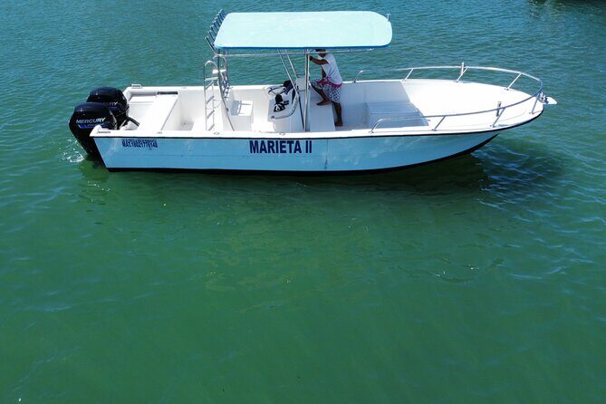 Whale watching - Why This Tour Stands Out