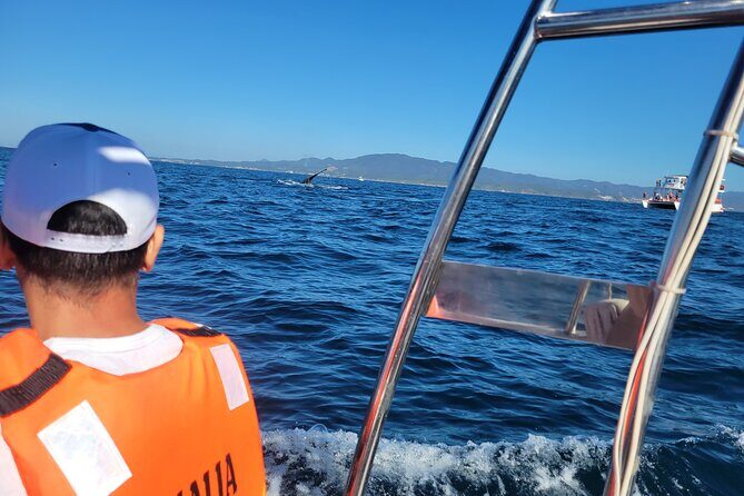 Whale watching 3 hours in Puerto Vallarta - Additional Stops & Activities