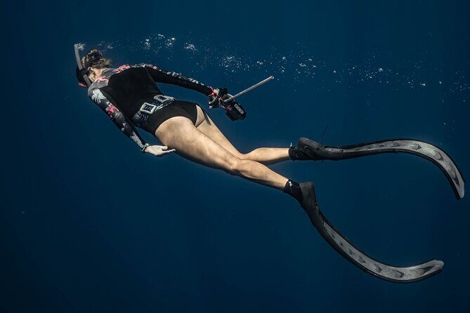 Whale watching 6 people half day - Who Should Book This Tour?