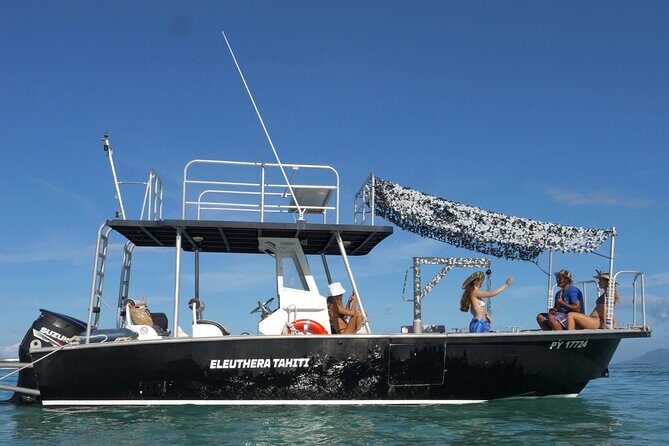 Whale Watching Activity - The Itinerary and What You Can Expect