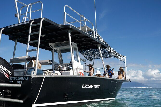 Whale Watching Activity - Who Will Love This Tour?