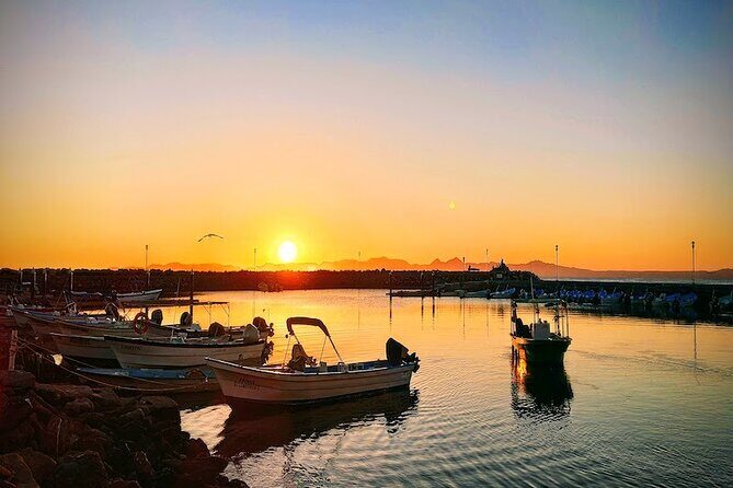 Whale Watching Adventure in Loretos Sea of Cortez - Final Thoughts