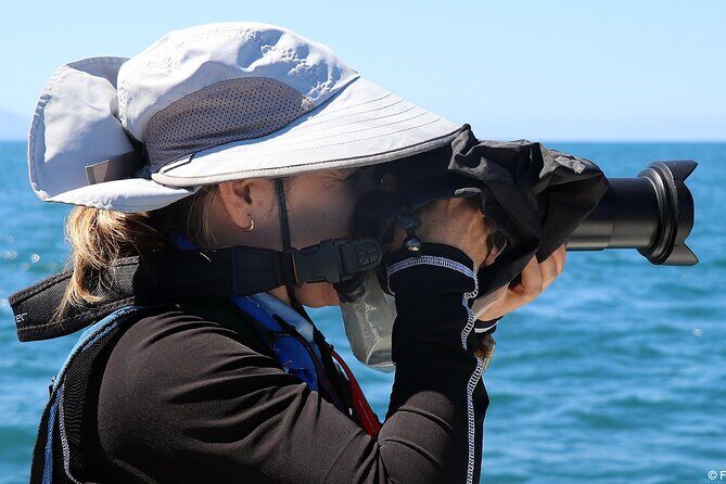 Whale Watching Adventure - leaded by marine biologist. - FAQ