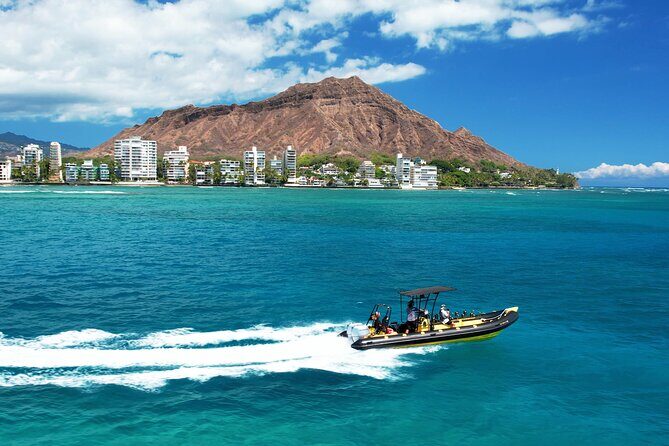 Whale Watching Adventure -Speed Boat & Small Group - The Sum Up  