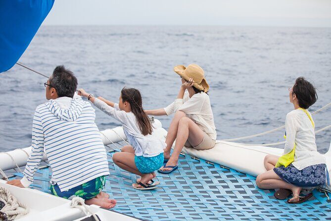 Whale Watching Amazing Adventure - Key Points