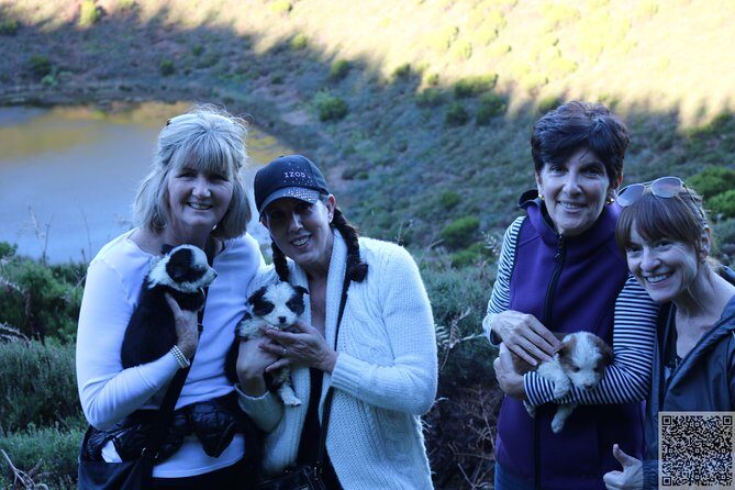 Whale Watching and Jeep Tour - Who Will Love This Tour?