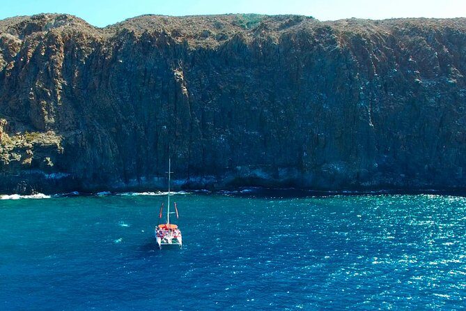 Whale Watching and Listening Eco Catamaran Tour with Food Tasting - Things to Keep in Mind