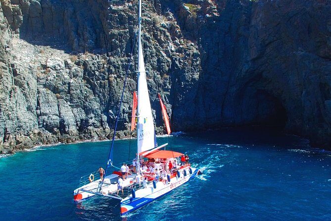 Whale Watching and Listening Eco Catamaran Tour with Food Tasting - Who Will Love This Experience?