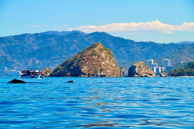 Whale Watching and Los Arcos 5 Islands Adventure - Considerations for Travelers