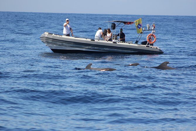 Whale Watching and Marine Science Tour - Key Points