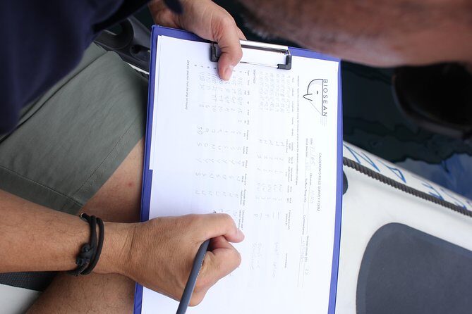 Whale Watching and Marine Science Tour - Final Thoughts