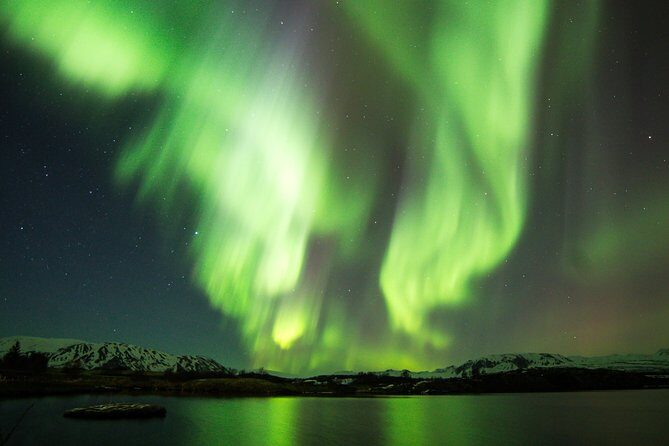 Whale Watching and Northern Lights Half-Day Combo Tour - The Itinerary: A Well-Structured Day of Wonder  