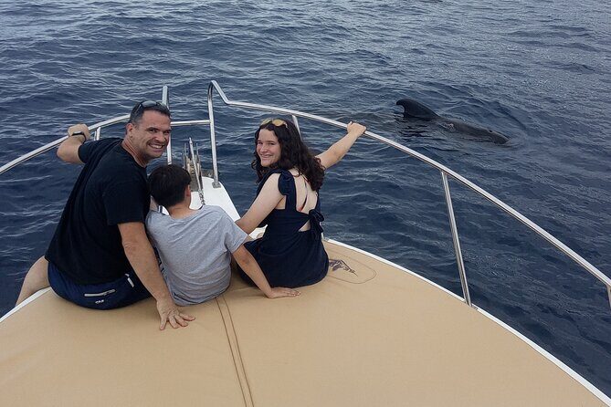 Whale watching and snorkelling in the whale sanctuary - An In-depth Look at the Tenerife Whale Watching & Snorkeling Tour