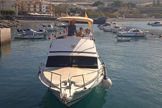 Whale watching and snorkelling in the whale sanctuary - FAQ