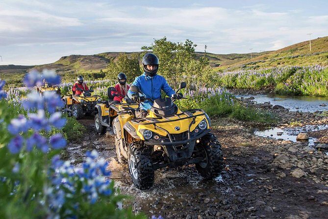 Whale Watching & ATV Adventure from Reykjavik - The Sum Up