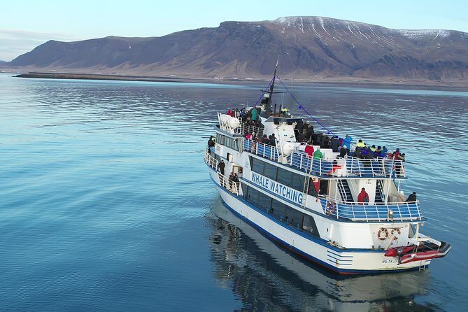 Whale-Watching Boat Tour with Expert Guide from Reykjavik - An in-depth Look at the Whale-Watching Experience