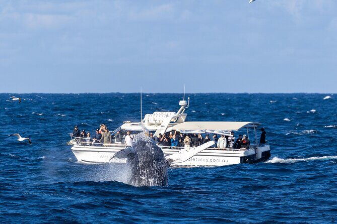 Whale Watching Boat Trip in Sydney - Frequently Asked Questions