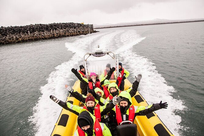 Whale Watching by RIB Speedboat from Downtown Reykjavik - Key Points