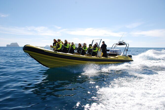 Whale Watching by RIB Speedboat from Downtown Reykjavik - FAQ