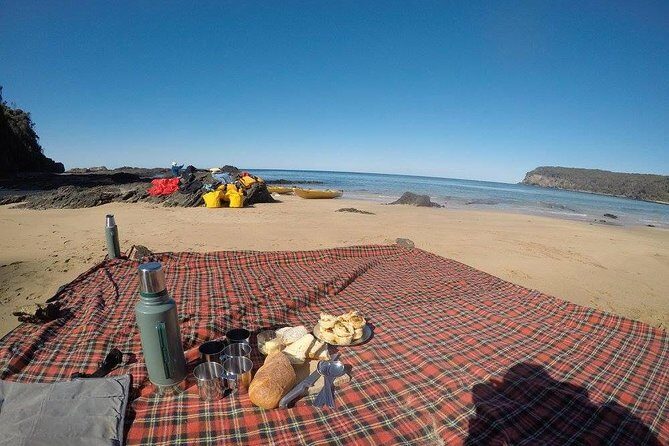 Whale Watching by Sea Kayak in Batemans Bay - Who Will Love This Tour?