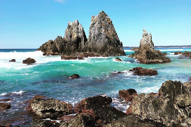 Whale Watching by Sea Kayak in Batemans Bay - The Sum Up