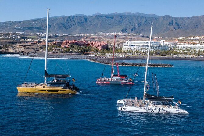 Whale Watching Catamaran in Costa Adeje (Including drinks & Sandwich) - Authentic Experiences from Reviews