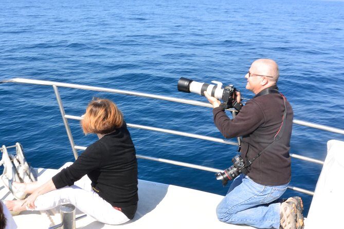 Whale Watching Cruise from Mooloolaba - The Sum Up: Who Should Consider This Whale Watching Cruise?