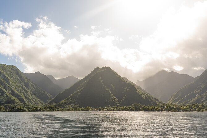 Whale watching DE Tahiti Peninsula - Who This Tour Is Perfect For