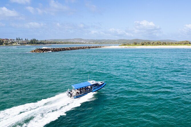 Whale Watching Discovery Tour from Lake Macquarie - Analyzing the Value