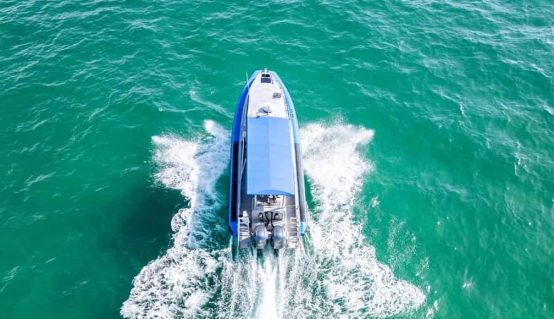 Whale Watching Discovery Tour from Lake Macquarie - FAQ