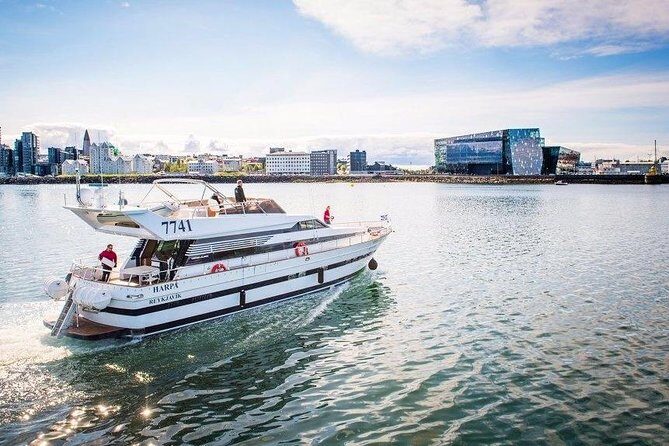 Whale Watching & Dolphin Yacht Cruise - Starting Point: Old Harbour in Reykjavik
