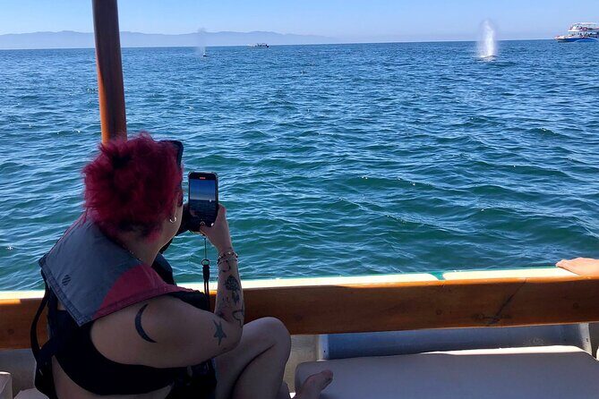 Whale Watching Experience  4 Hours in Puerto Vallarta - An In-Depth Look at the Whale Watching Tour