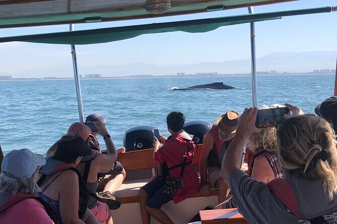 Whale Watching Experience  4 Hours in Puerto Vallarta - Practical Tips for Your Whale Watching Adventure