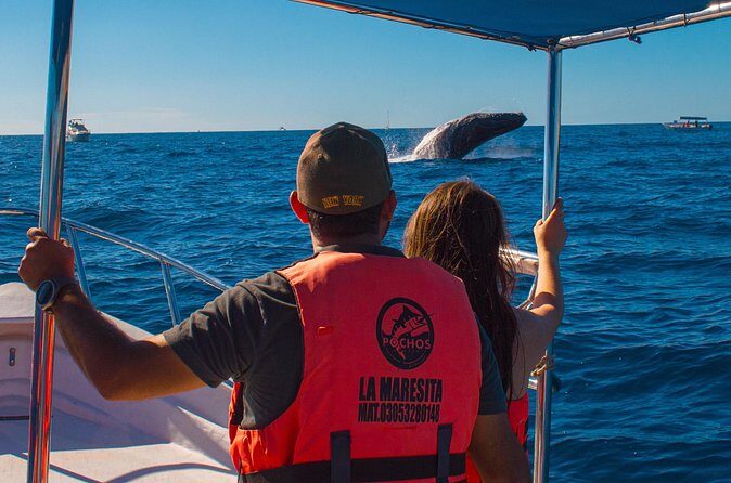 Whale Watching Experience in Cabo San Lucas 2 hours - Frequently Asked Questions