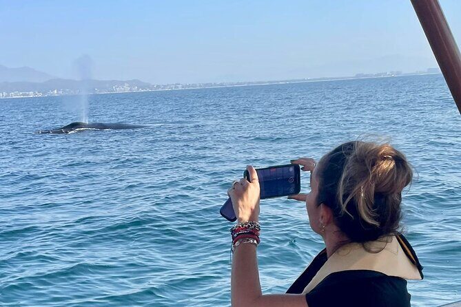 Whale Watching Experience in Puerto Vallarta - Key Points 