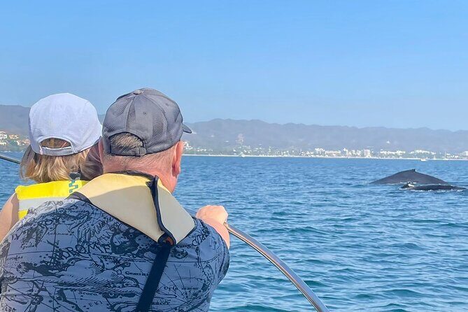 Whale Watching Experience in Puerto Vallarta - Why This Whale Watching Tour Excels