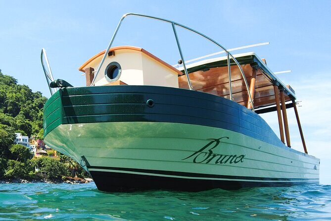 Whale Watching Experience in Puerto Vallarta - Who Is This Tour Best For?