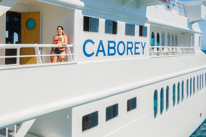 Whale Watching Experiencie with breakfast - An In-Depth Look at the Whale Watching Experience in Cabo San Lucas