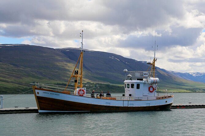 Whale Watching from Akureyri Port - Authentic Traveler Insights