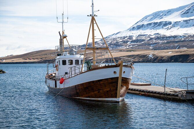 Whale Watching from Akureyri Port - FAQ