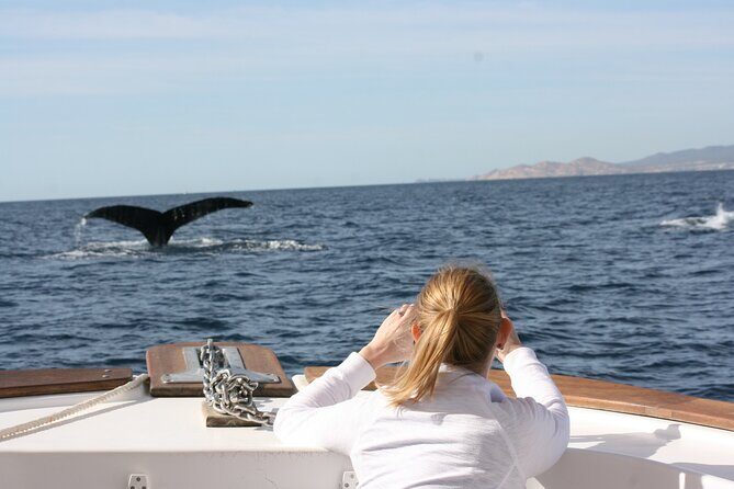 Whale Watching Group Tour in San Jose del Cabo - Final Thoughts