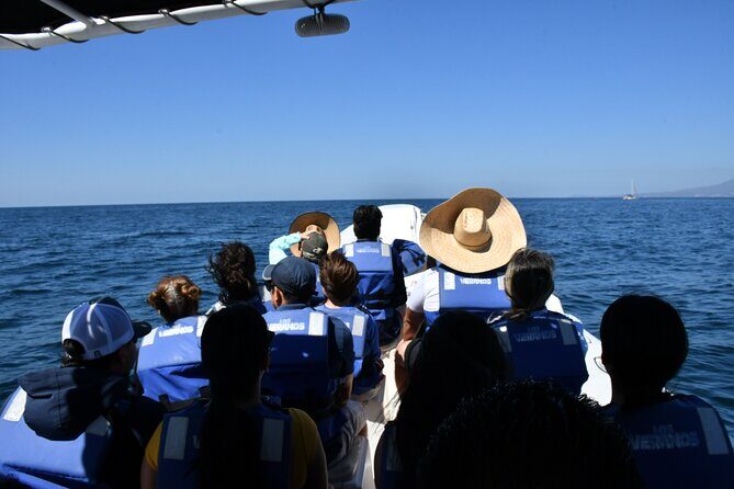 Whale Watching Guaranteed Experience in Puerto Vallarta - The Practicalities You Should Know