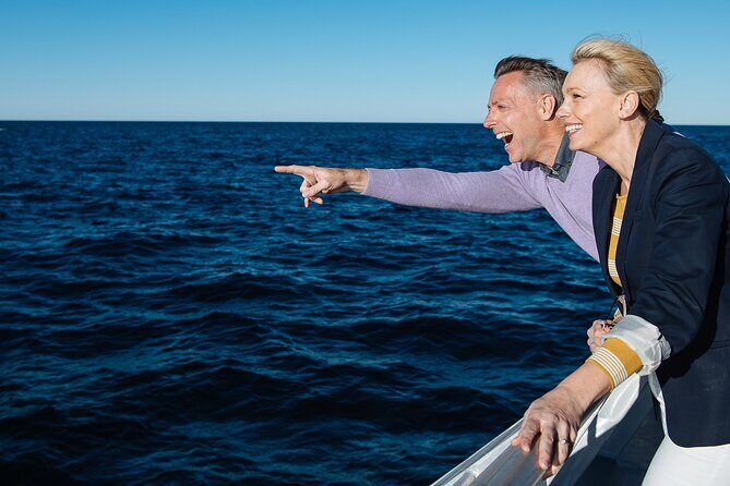 Whale Watching & Hop On Hop Off Sydney Harbour Explorer Cruise - The Sum Up