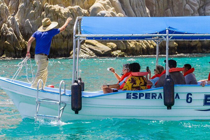 Whale Watching in Cabo San Lucas: Sightseeing Cruise and Shopping - The Sum Up