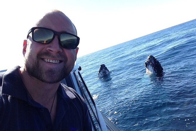 Whale Watching in Coffs Harbour - The Sum Up