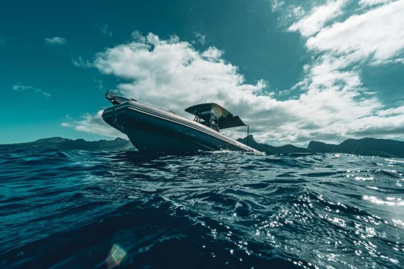 Whale Watching in Moorea  Half-Day Private Tour - Who Is This Tour Best For?