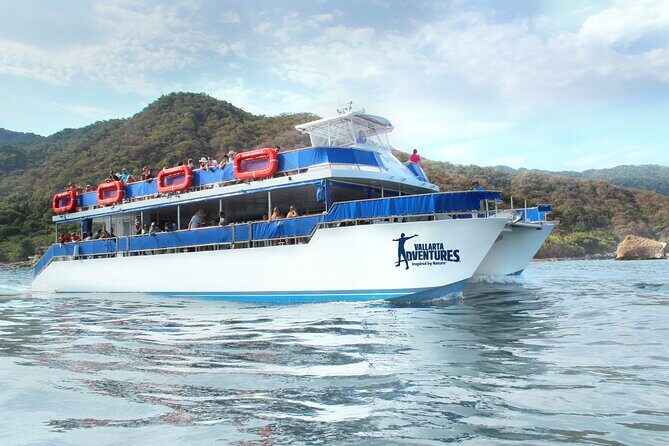 Whale Watching in Puerto Vallarta - The Itinerary and What to Expect