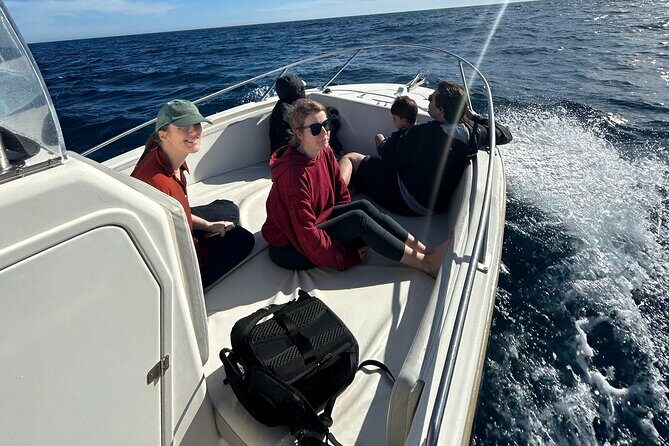 Whale Watching in San Jose del Cabo - Who Is This Tour Best For?